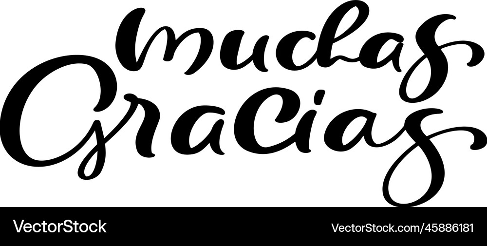 Thank you lettering text in spanish muchas Vector Image