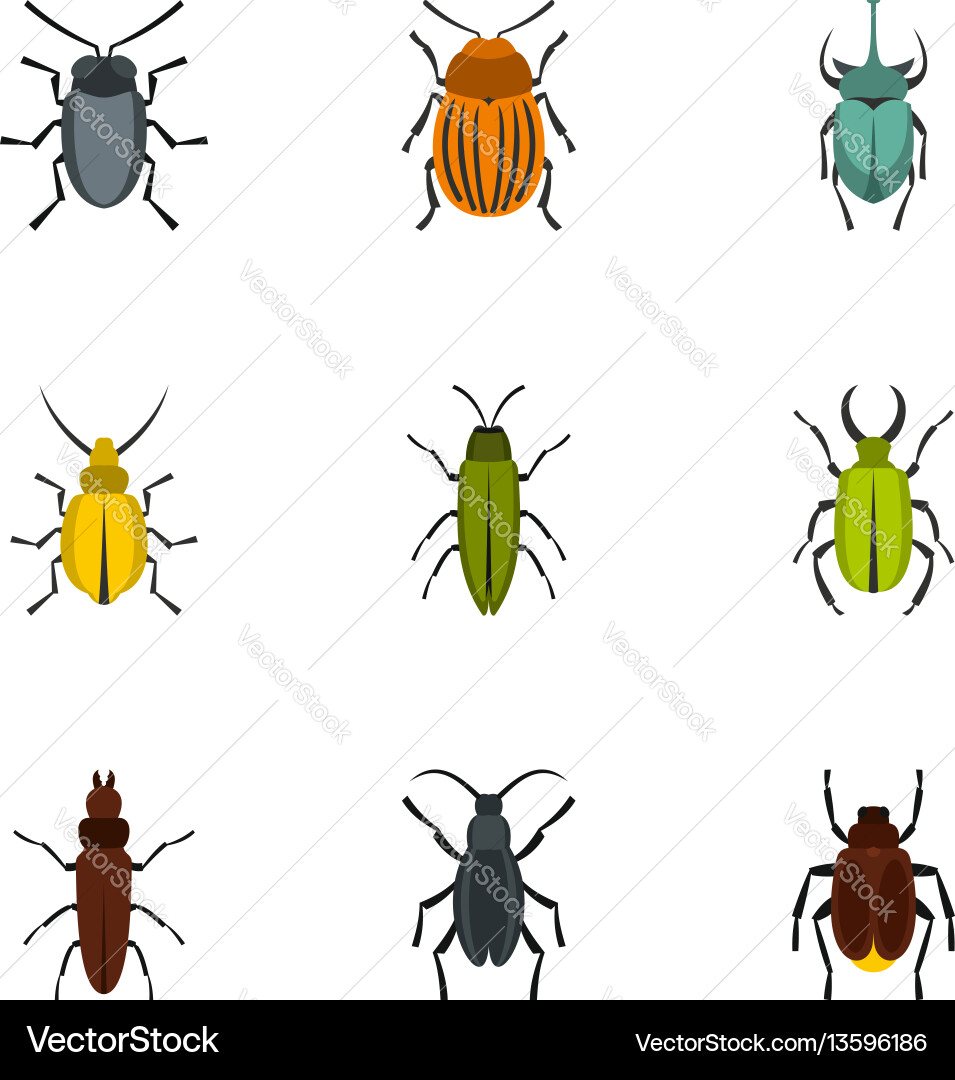 Beetle icons set flat style Royalty Free Vector Image