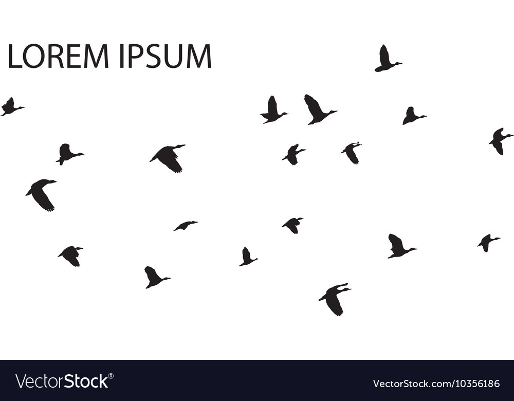 Birds flying Royalty Free Vector Image - VectorStock