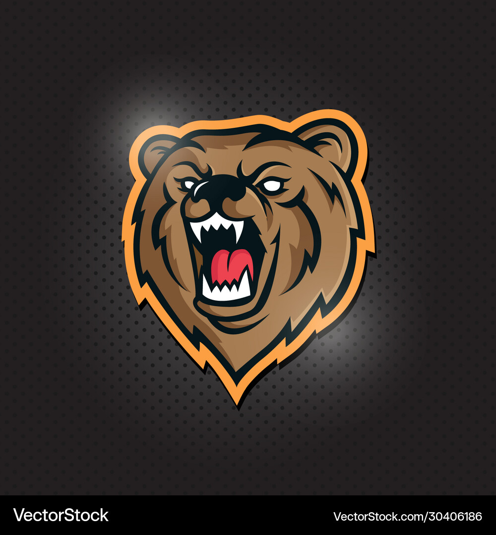 Team Bear Logo