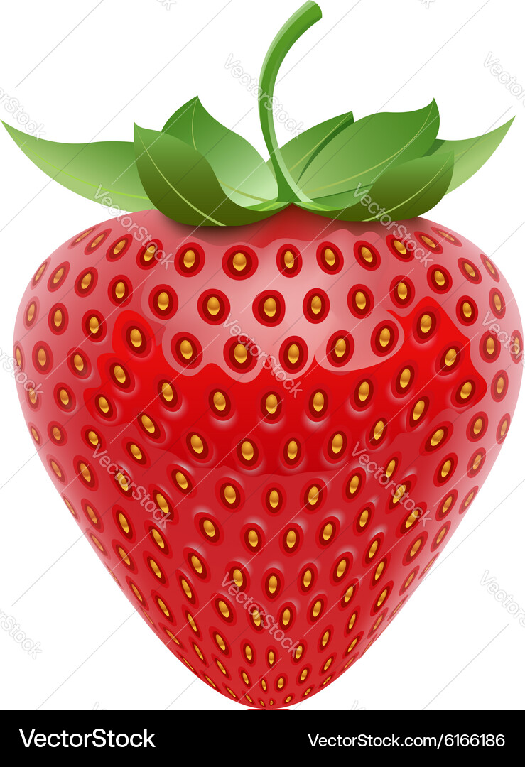 Vector De Fresa