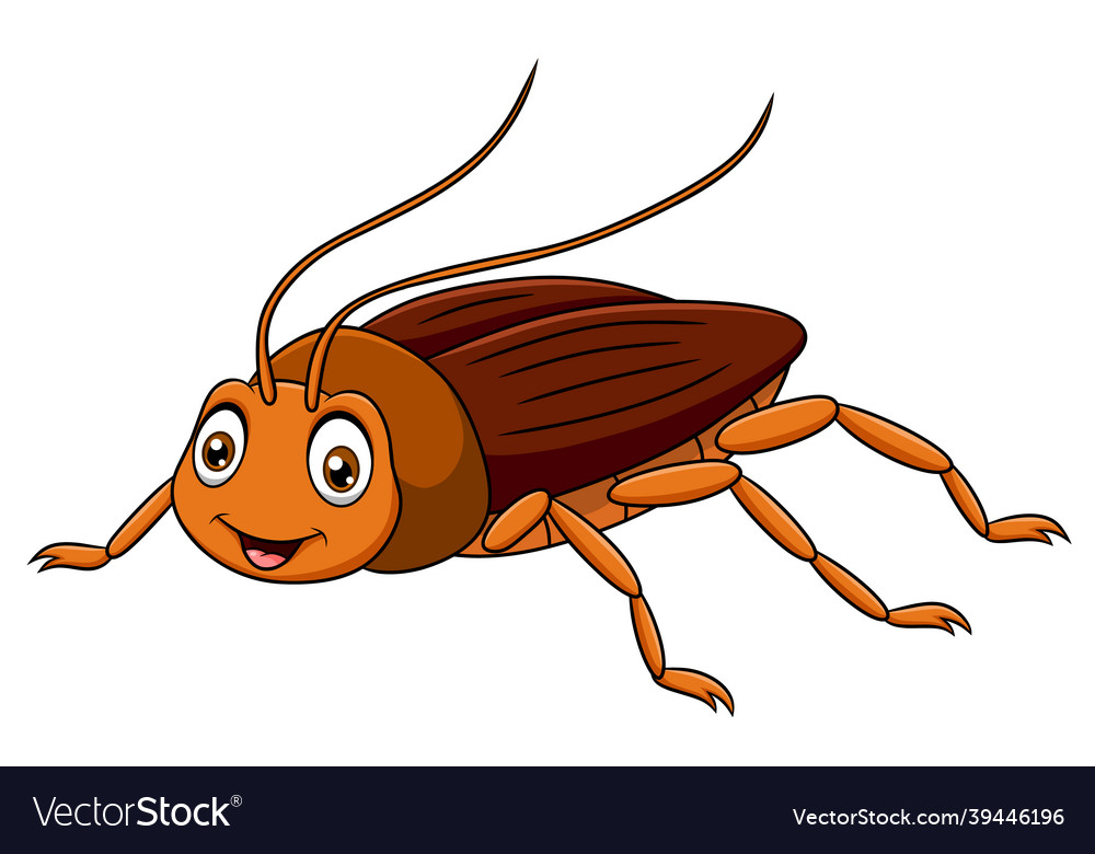 Cute cockroach cartoon Royalty Free Vector Image