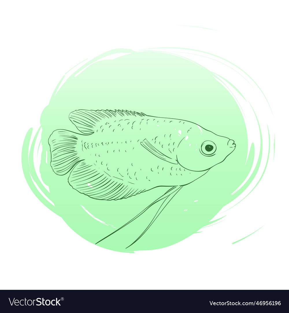 Fish Royalty Free Vector Image - VectorStock