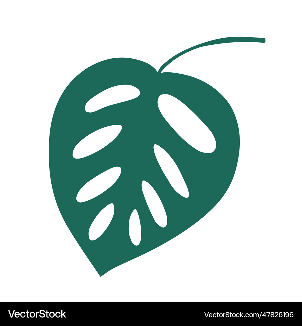 Monstera leaf Royalty Free Vector Image - VectorStock