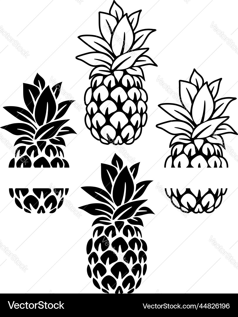 Pineapple with split for text Royalty Free Vector Image