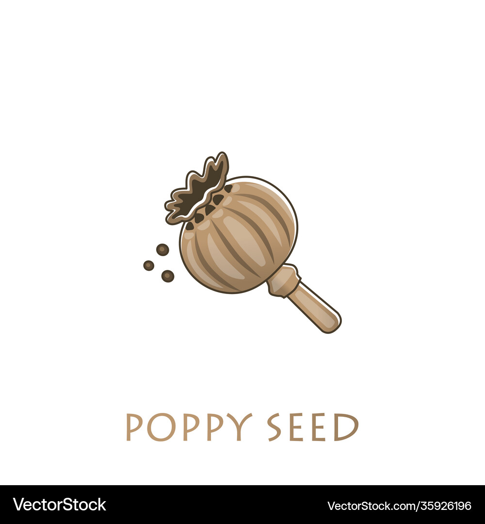 Poppy box and seeds on a light background Vector Image