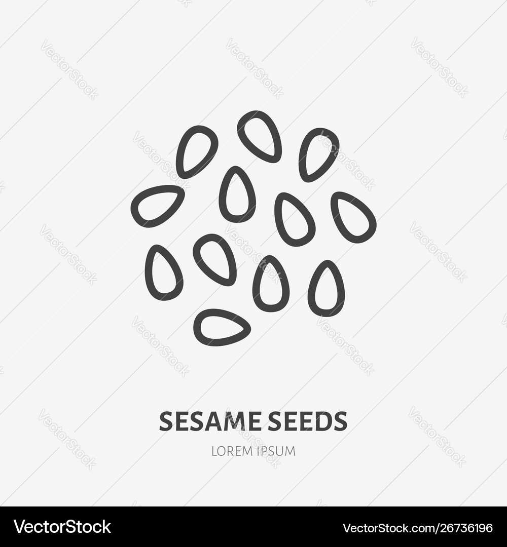Sesame seeds flat line icon thin sign of Vector Image