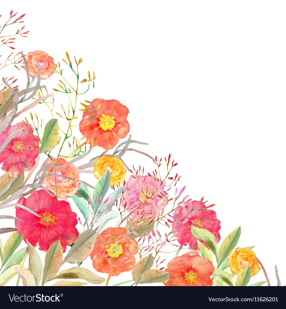 Floral Border Isolated Roses And Wild Royalty Free Vector