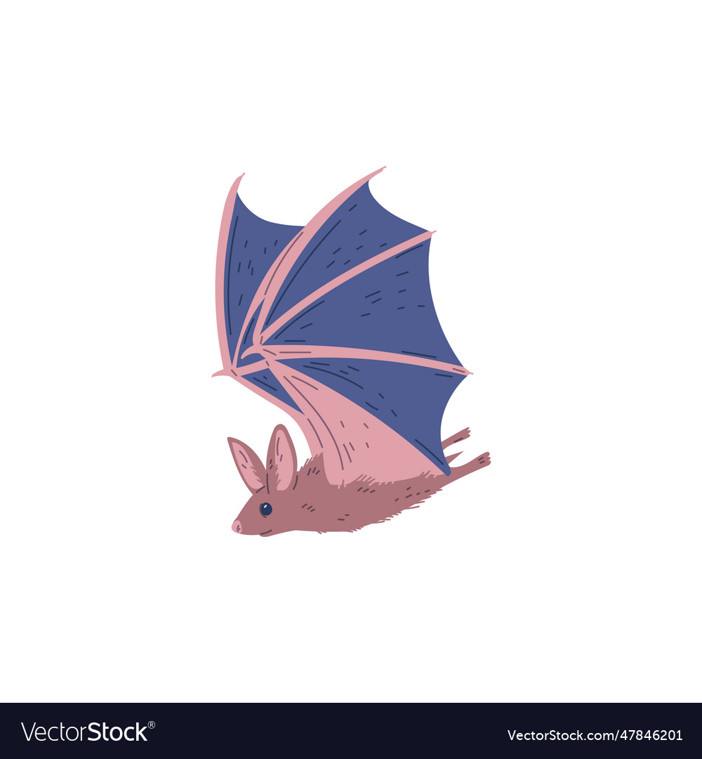 Flying Bat Animation