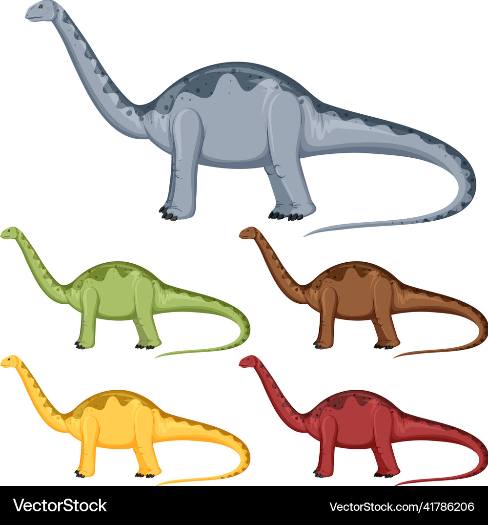 A set of apatosaurus dinosaurs on white background
