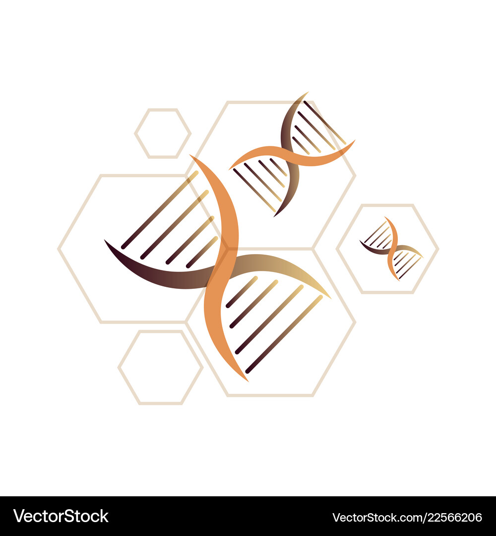 Dna genetic sign elements and icons collection Vector Image