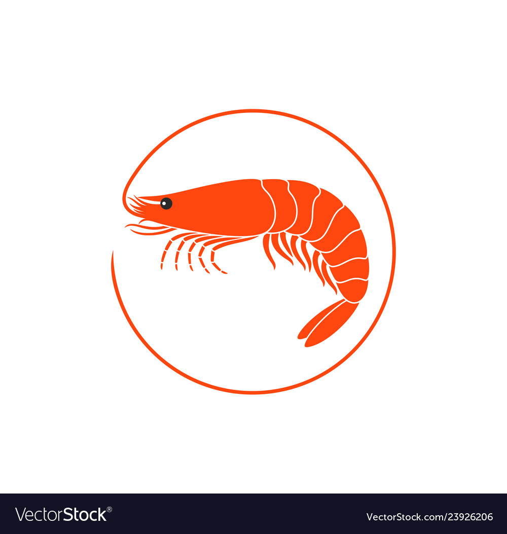 Prawns Royalty Free Vector Image - VectorStock