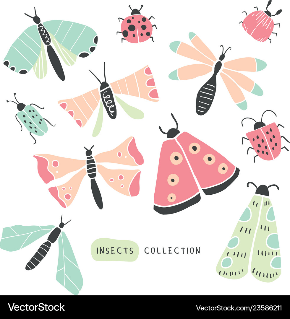 Big colorful hand drawn doodle set - insects bugs Vector Image