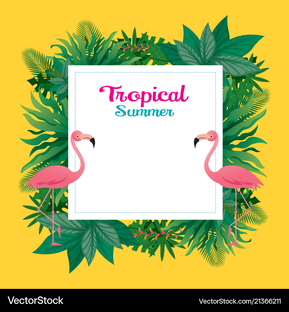 Pink flamingo with tropical jungle frame Vector Image
