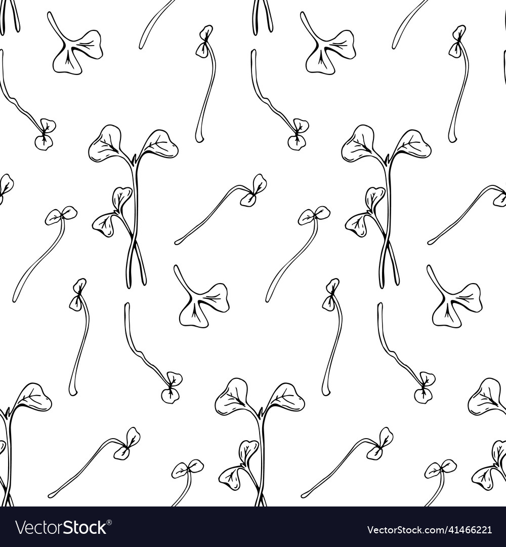 Hand drawn micro greens seamless pattern Vector Image