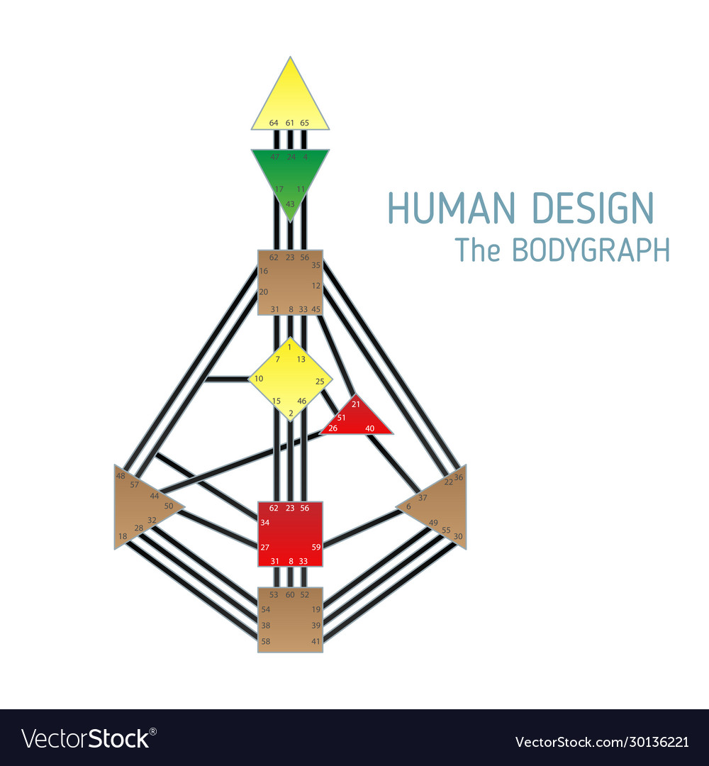 Human design bodygraph chart Royalty Free Vector Image