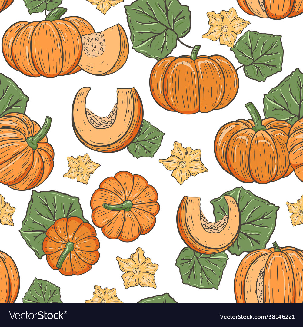 Seamless pattern with pumpkins thanksgiving Vector Image
