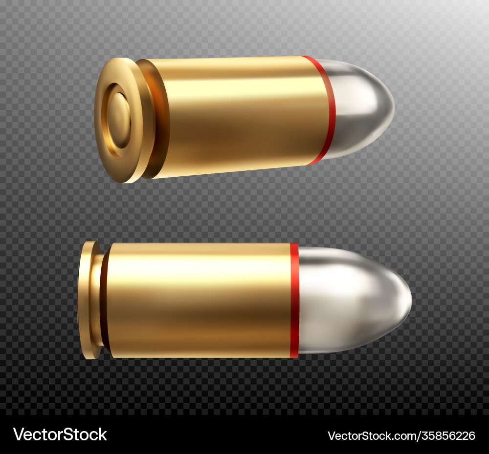 Bullets copper nine mm shots side and rear view Vector Image
