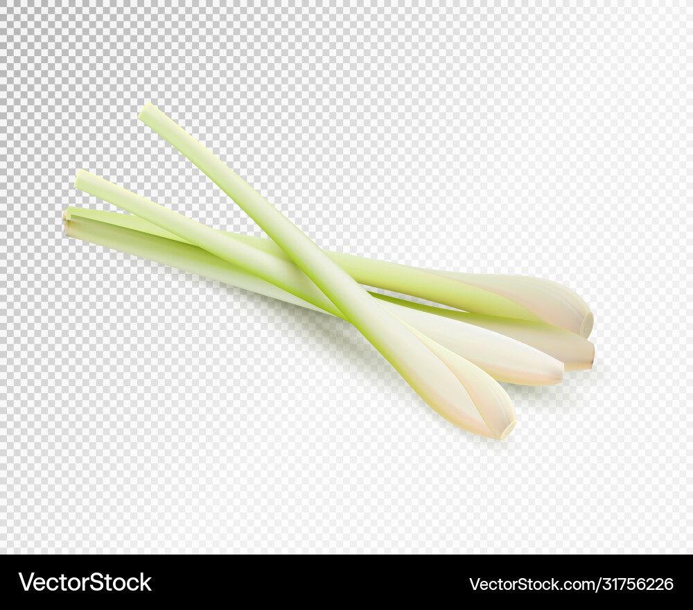 Lemongrass herb vegetable set realistic Royalty Free Vector