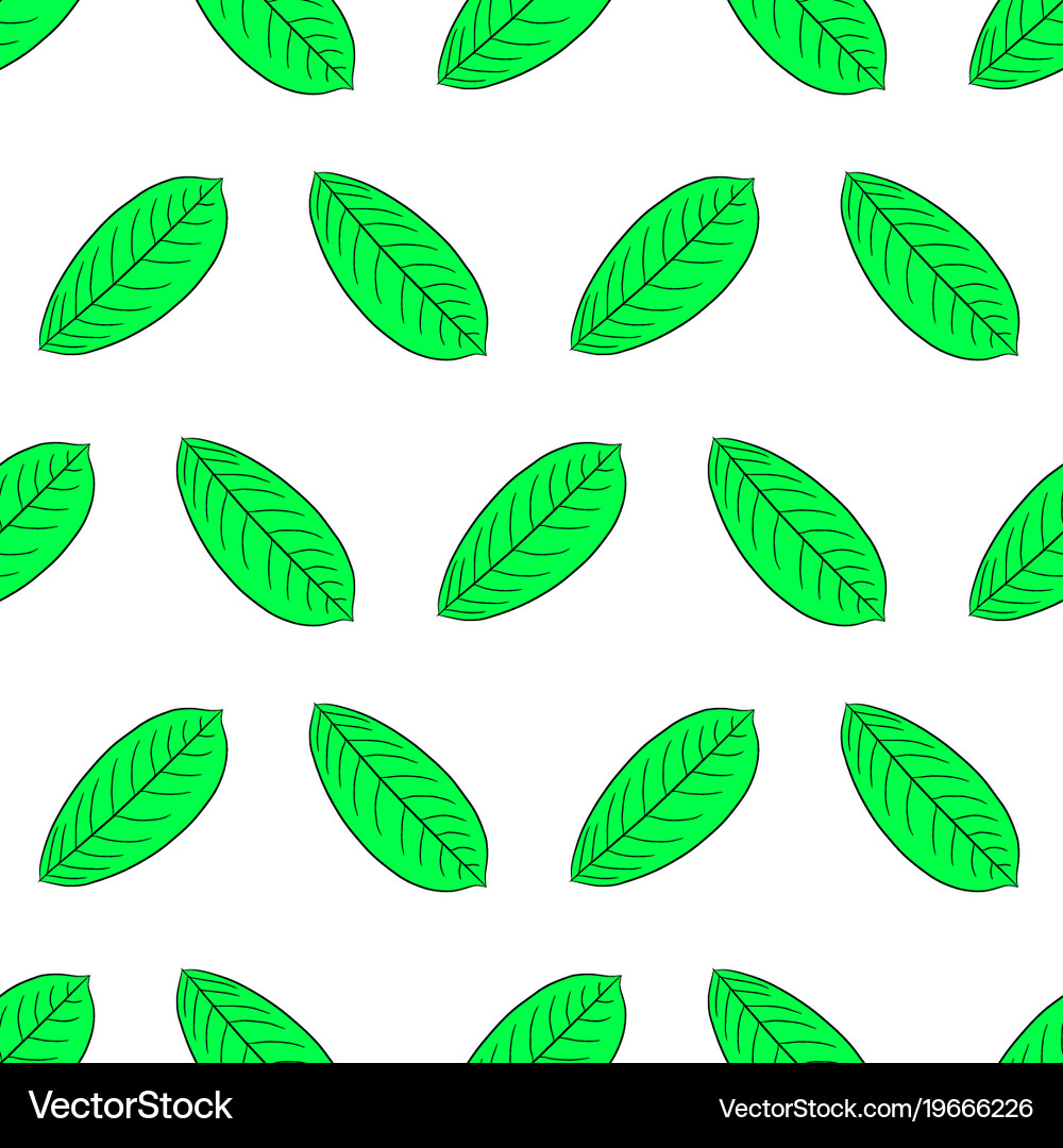 Seamless pattern from green leaf of plant Vector Image