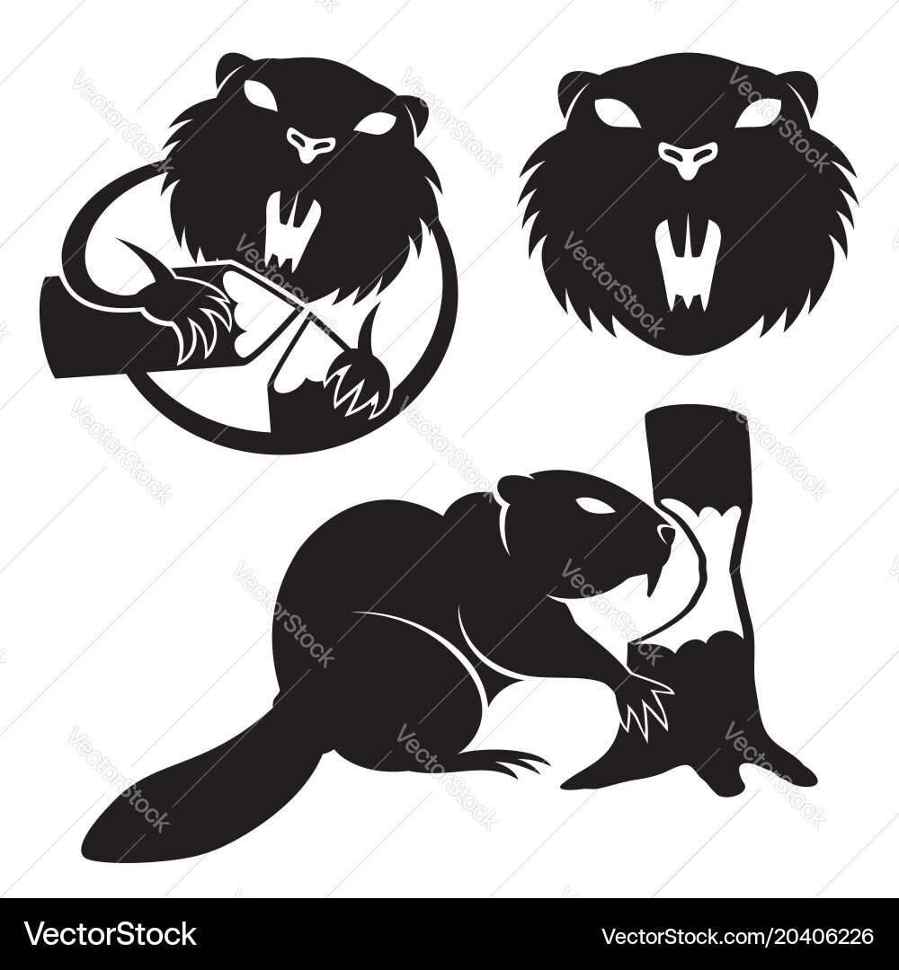 Set of beaver signs Royalty Free Vector Image - VectorStock
