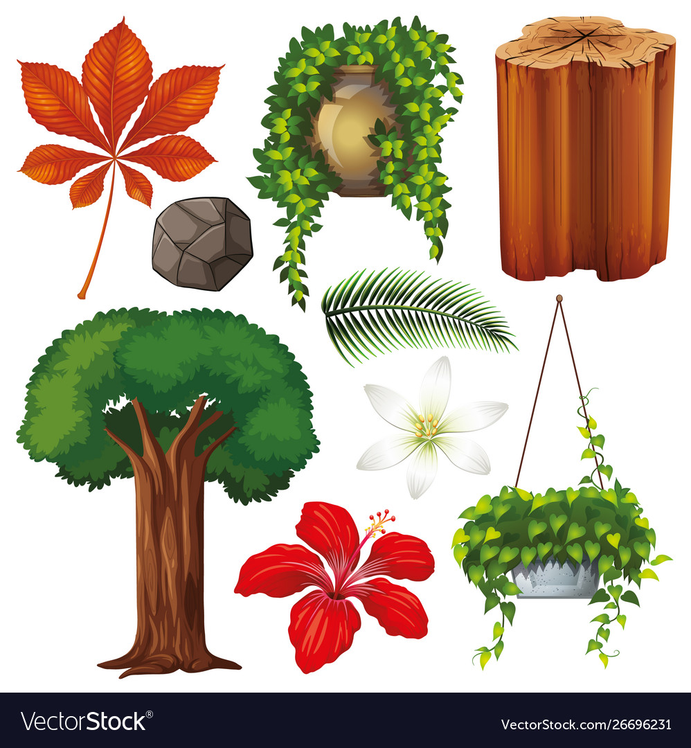 Set isolated objects theme nature Royalty Free Vector Image