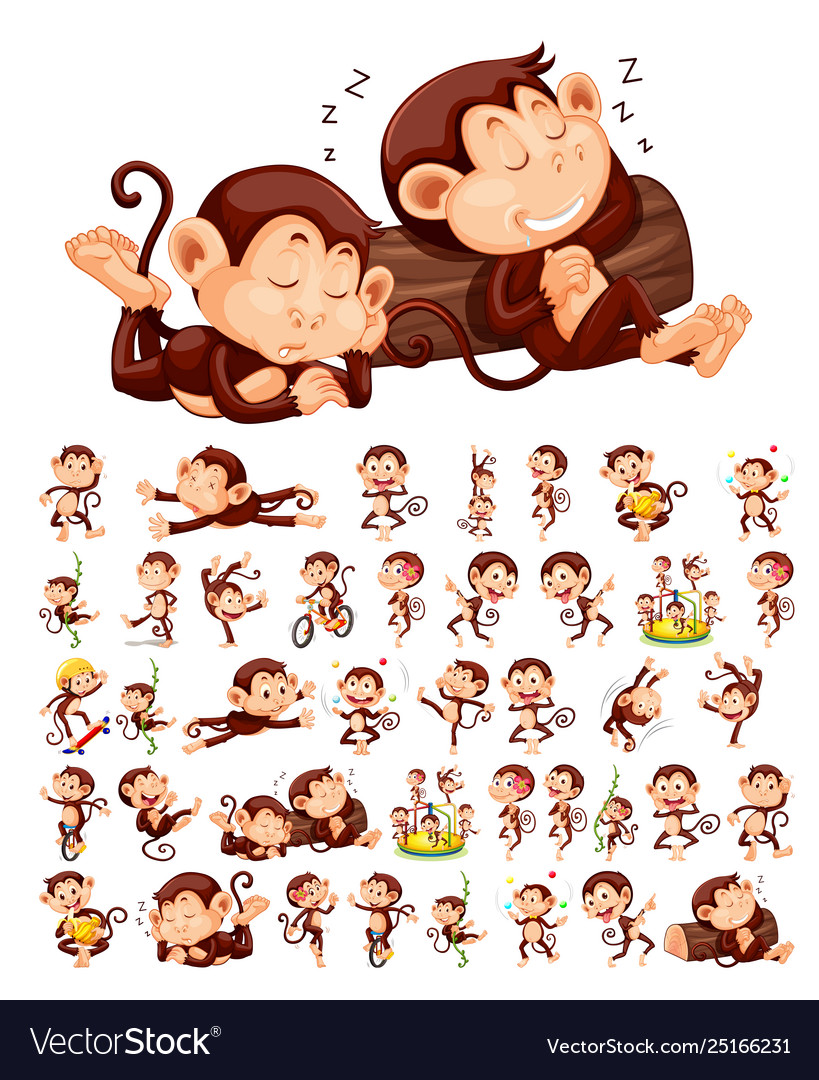 Set monkey character Royalty Free Vector Image