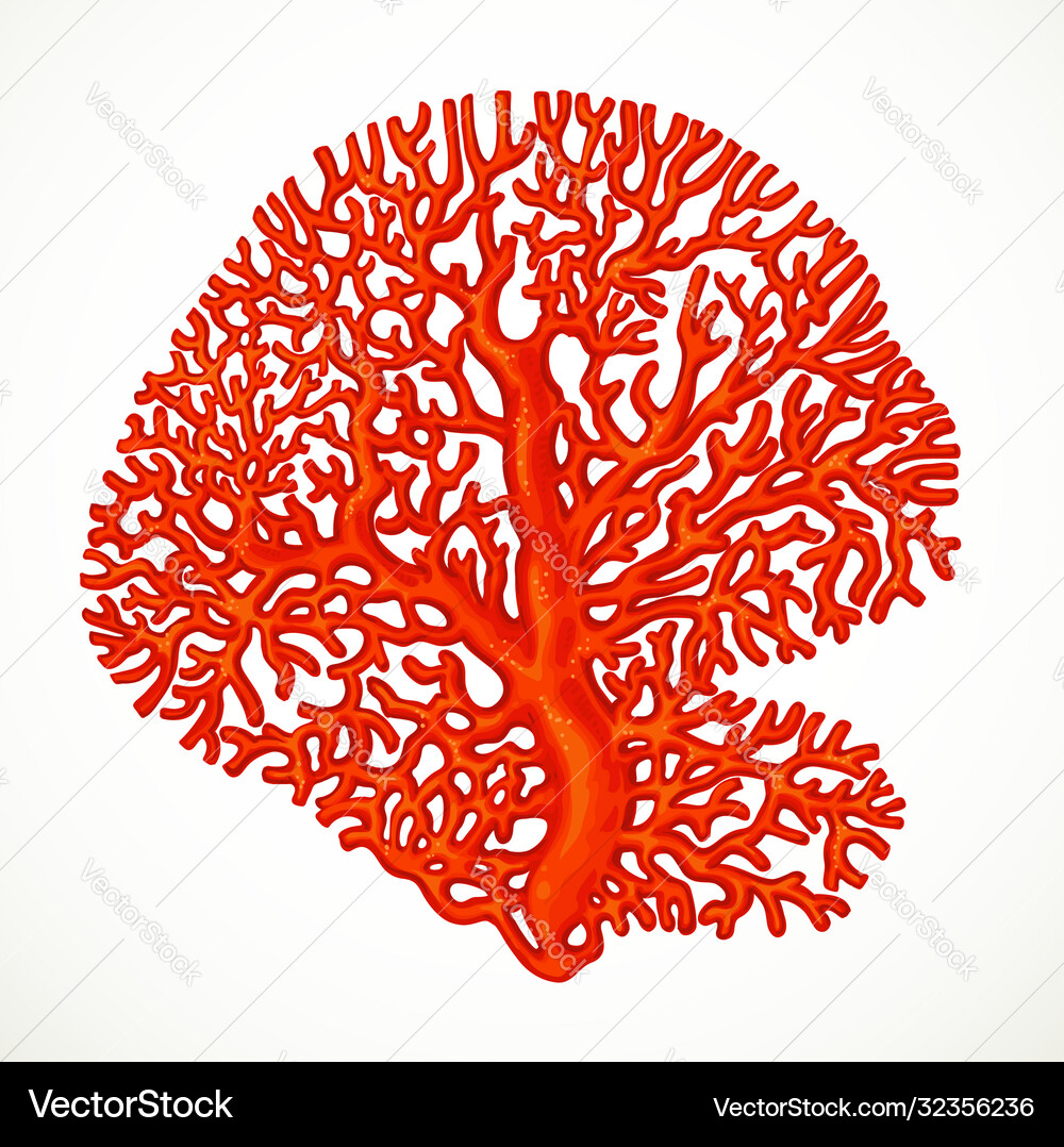 Big red corals sea life object 1 isolated Vector Image
