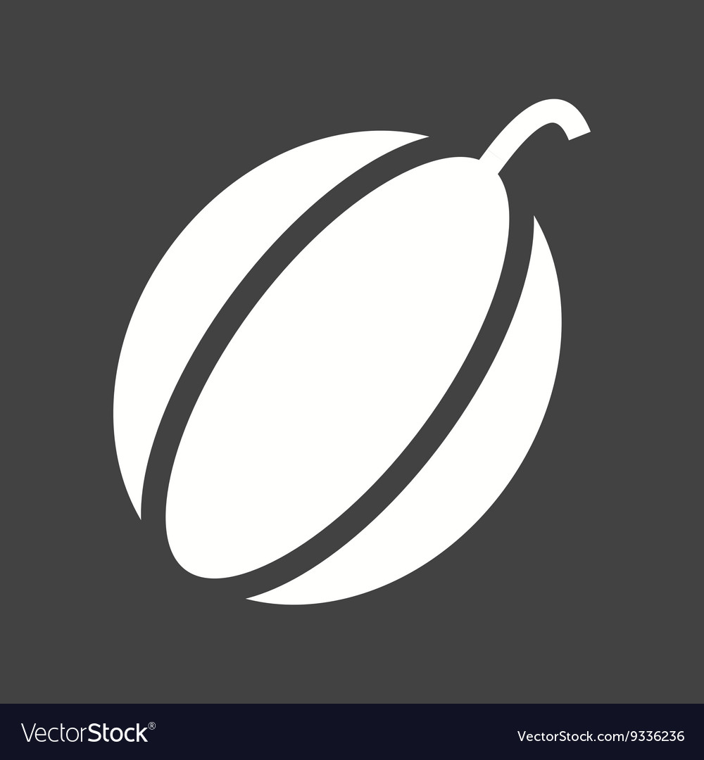 Rockmelon Royalty Free Vector Image - VectorStock