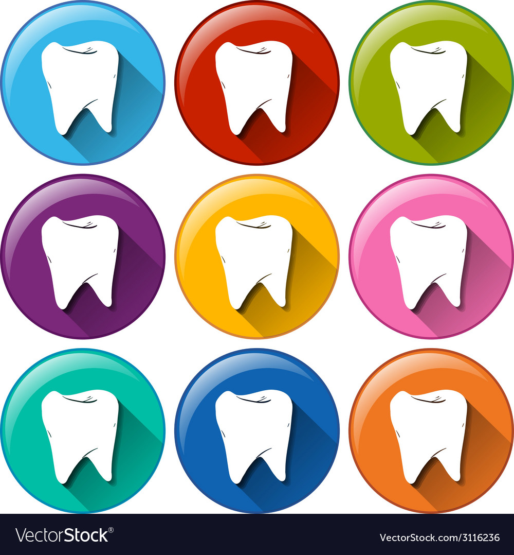 Tooth buttons Royalty Free Vector Image - VectorStock