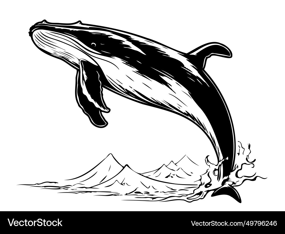 Hand drawn of humpback whale Royalty Free Vector Image