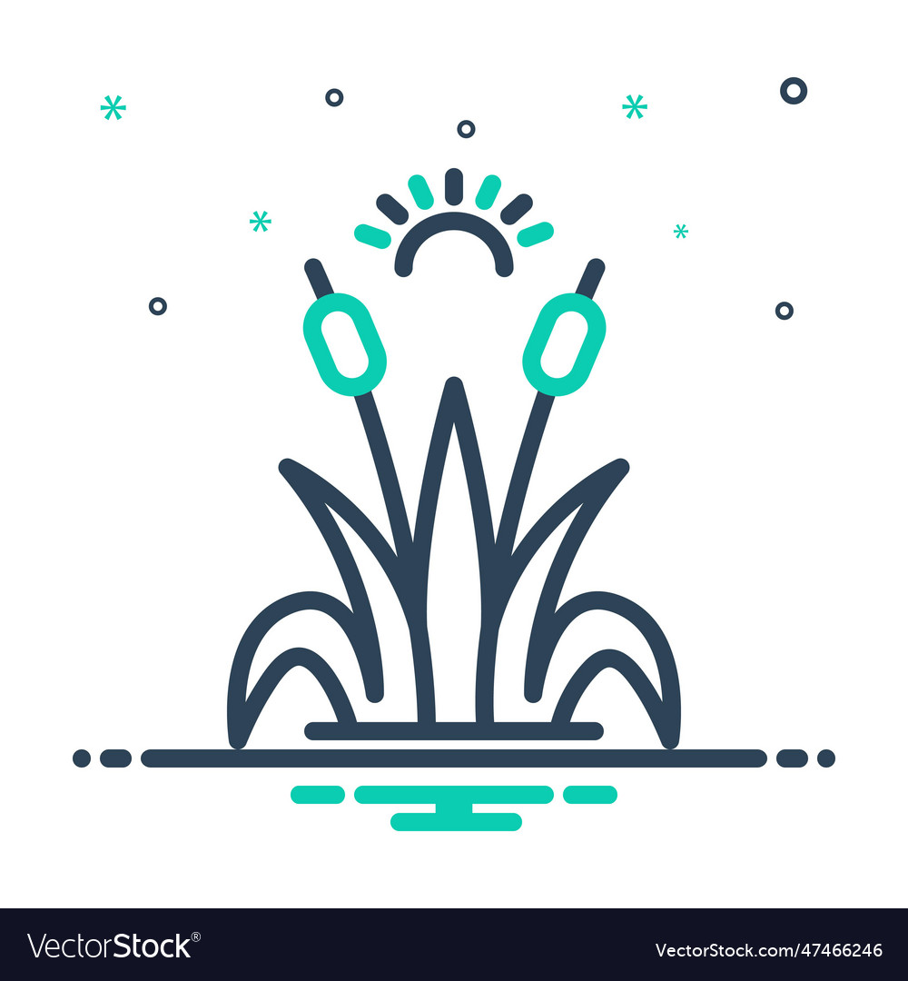 Reed Royalty Free Vector Image - VectorStock