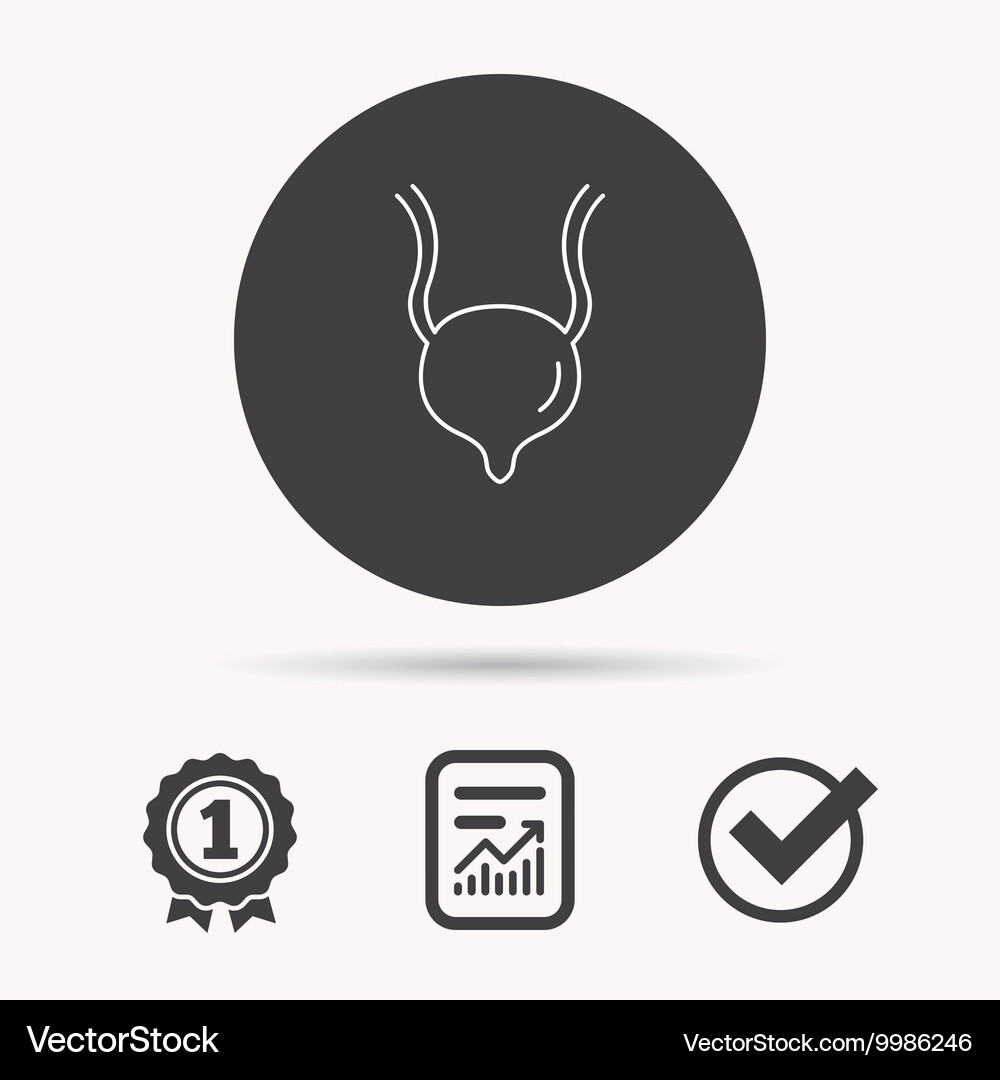 Urinary bladder icon human body organ sign Vector Image