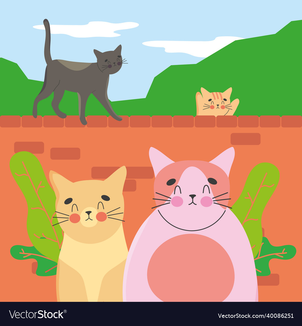Pretty cats design Royalty Free Vector Image - VectorStock