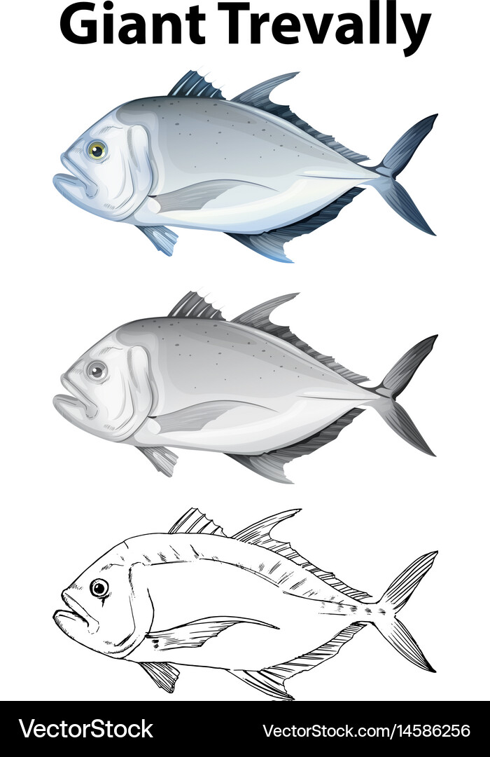 Doodle character for giant trevally Royalty Free Vector