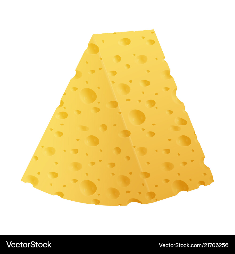 Piece of fresh cheese on white background Vector Image