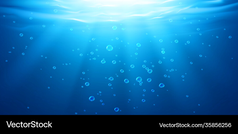 Underwater background water surface ocean or sea Vector Image
