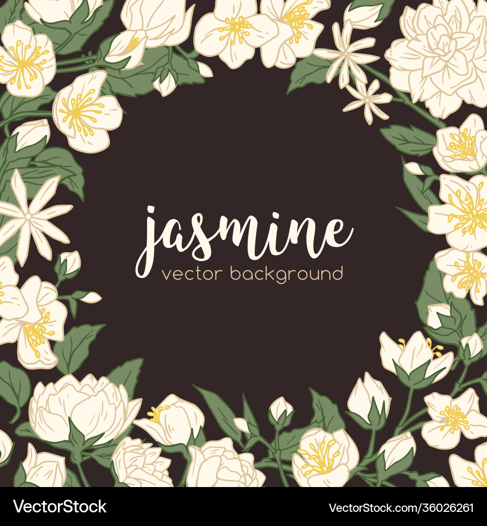 Elegant floral background with place for text Vector Image