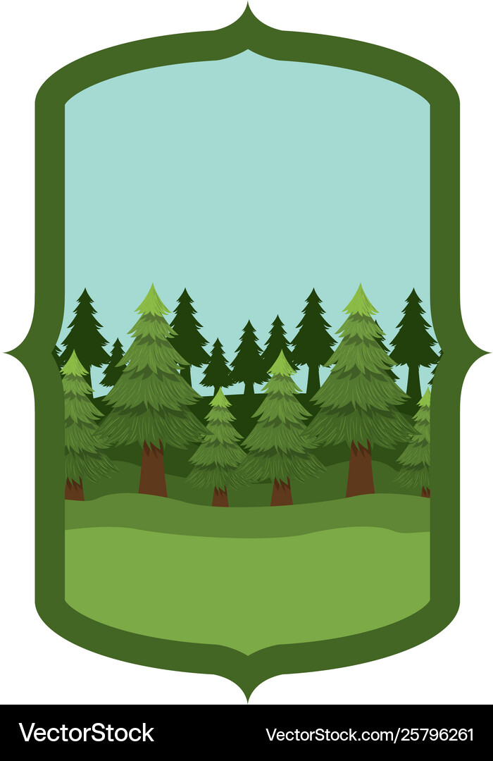 Isolated pine trees inside frame design Royalty Free Vector