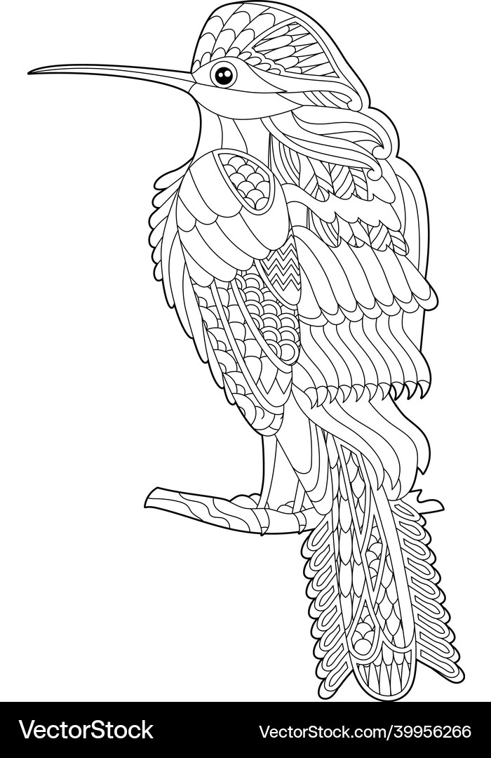 Cute beautiful bird with long tail black Vector Image