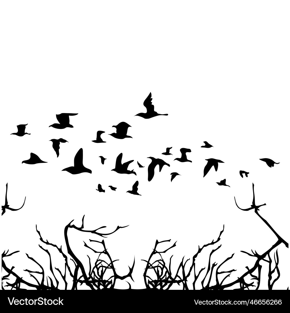 Flock of birds Royalty Free Vector Image - VectorStock