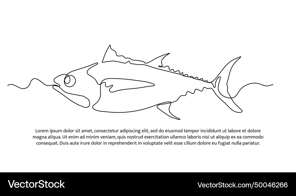 One continuous line of fish tuna drawing Vector Image