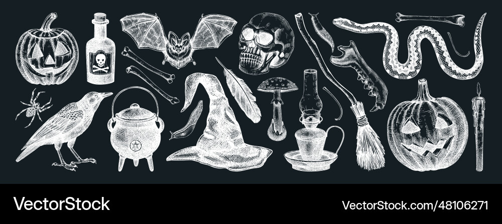 Halloween on chalkboard skull bones Royalty Free Vector