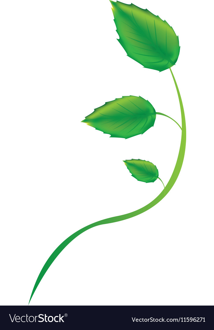 Leaf sprout icon image Royalty Free Vector Image