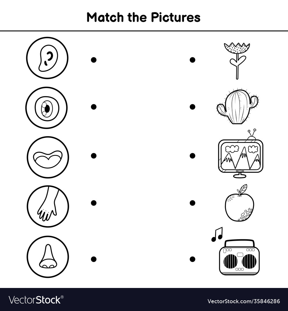 Five senses matching game for kids match the Vector Image