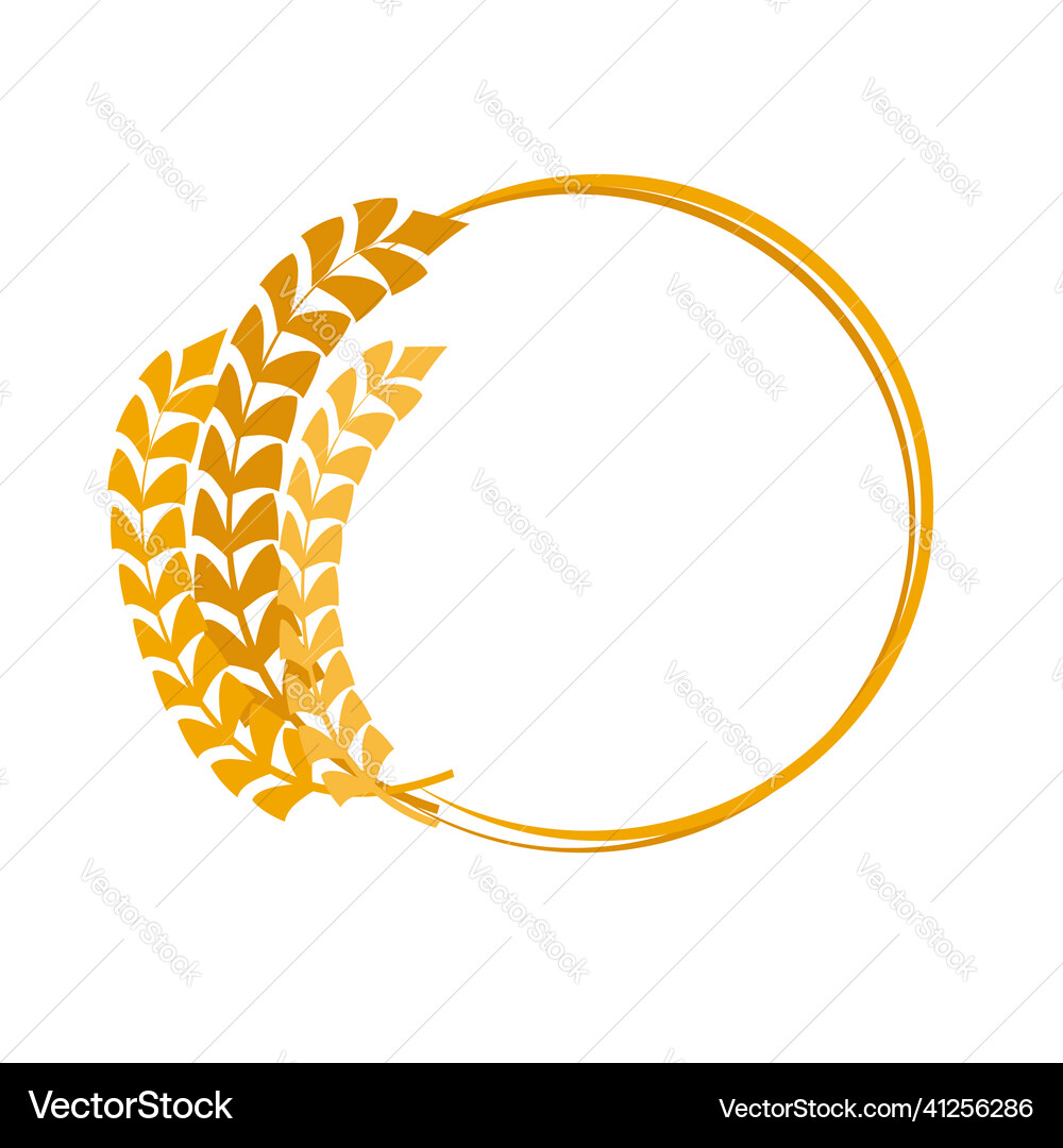 Wheat or barley ears border or frame harvest Vector Image