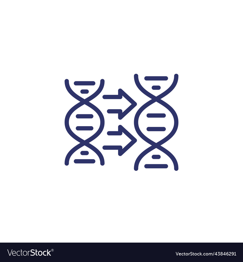 Dna replication icon line Royalty Free Vector Image Dna replication icon line Royalty Free Vector Image
