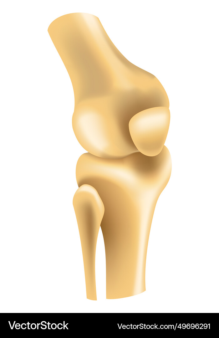 Human joints icons for orthopedics Royalty Free Vector Image