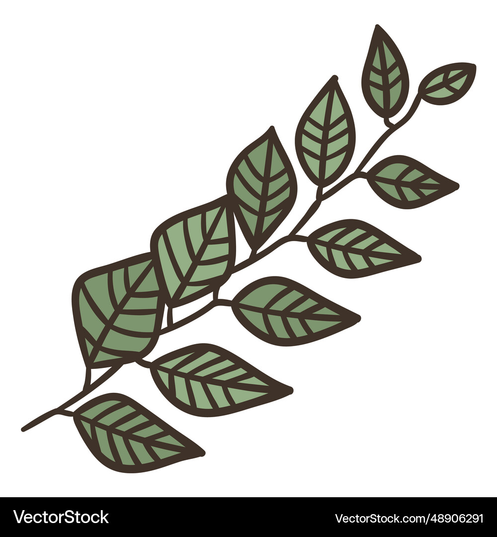 Leaves in branch stroke flat Royalty Free Vector Image