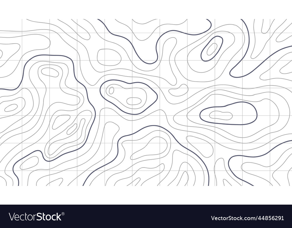 Topographic map lines topology outline contour Vector Image